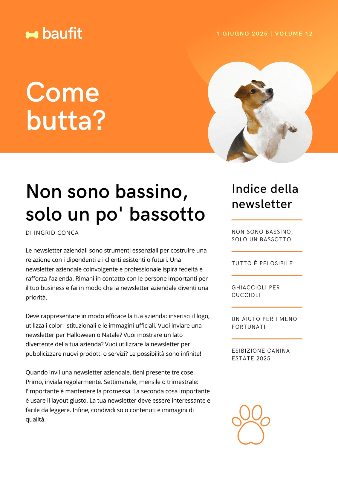 Newsletter gratis online: crea e invia e-mail professionali | Canva