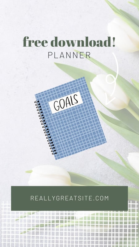 Nessa Designs – Canva