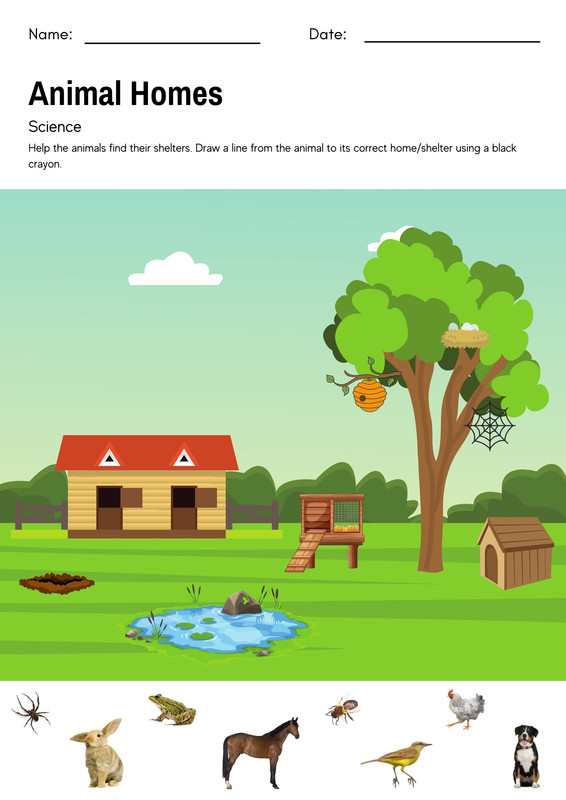 Teacher Angela – Canva