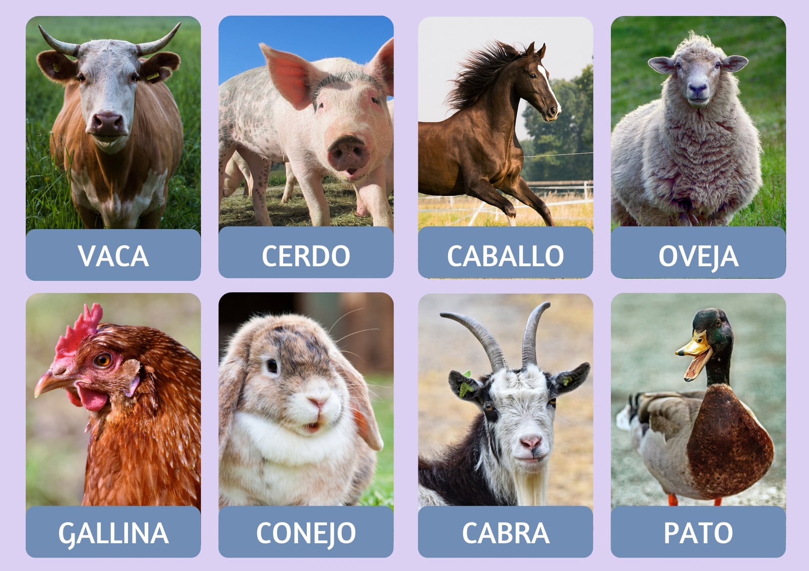 Crea flashcards y tarjetas de estudio para imprimir | Canva