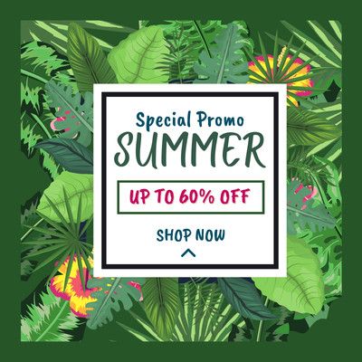 Publisher Designs – Canva