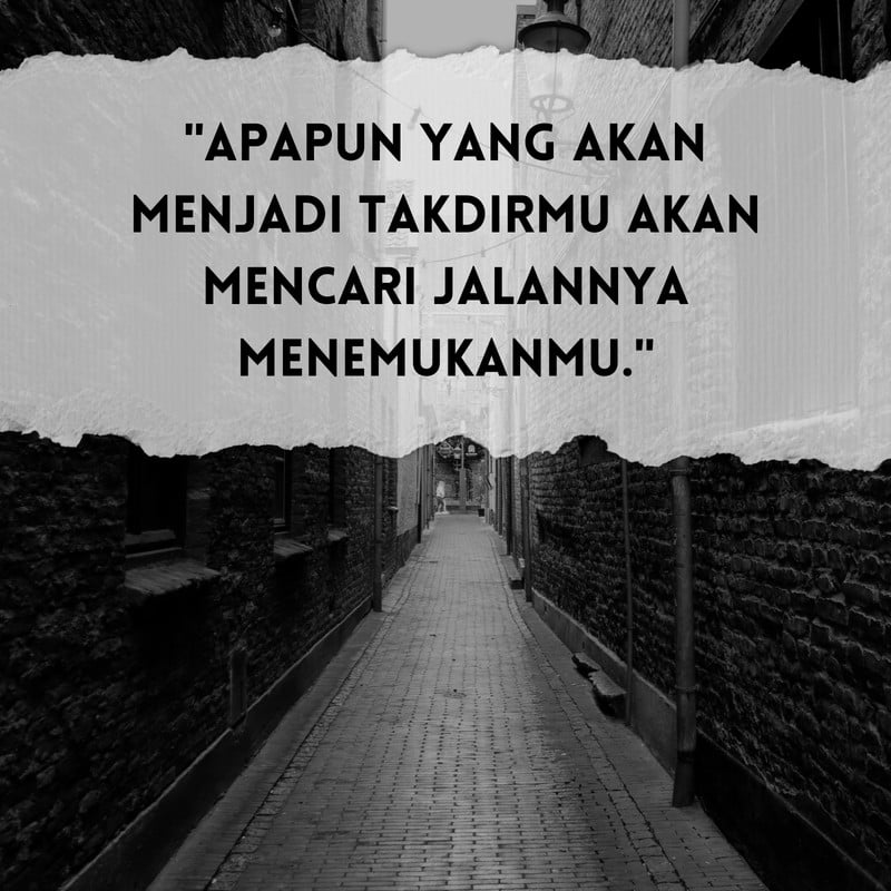 Mantan Quotes