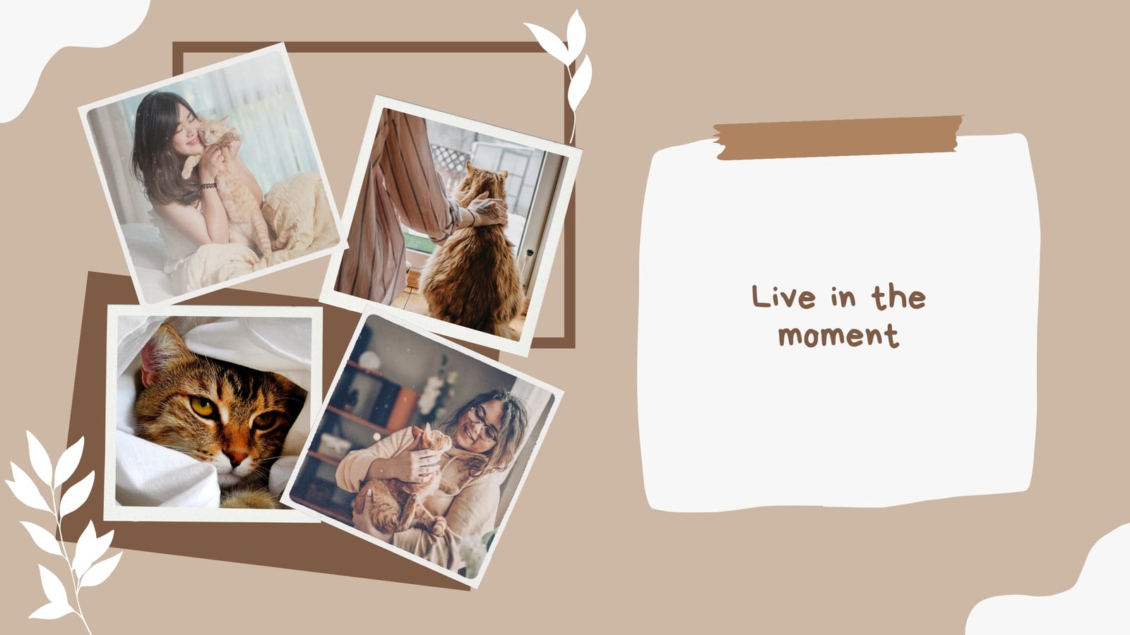 Free and customizable funny desktop wallpaper templates | Canva