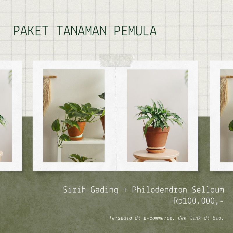 Buat beragam desain postingan Instagram keren dengan Canva