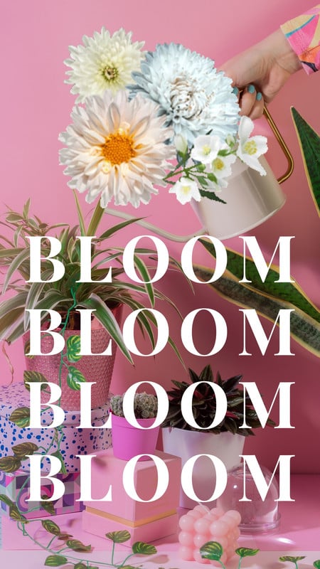 Nessa Designs – Canva