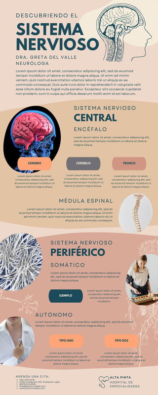 Infografías creativas para editar - Ejemplos y plantillas gratis | Canva