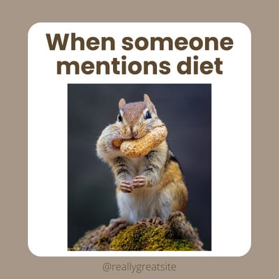 Squirrel Eating Memes Photographic Image Of A Squirrel Surrounded By