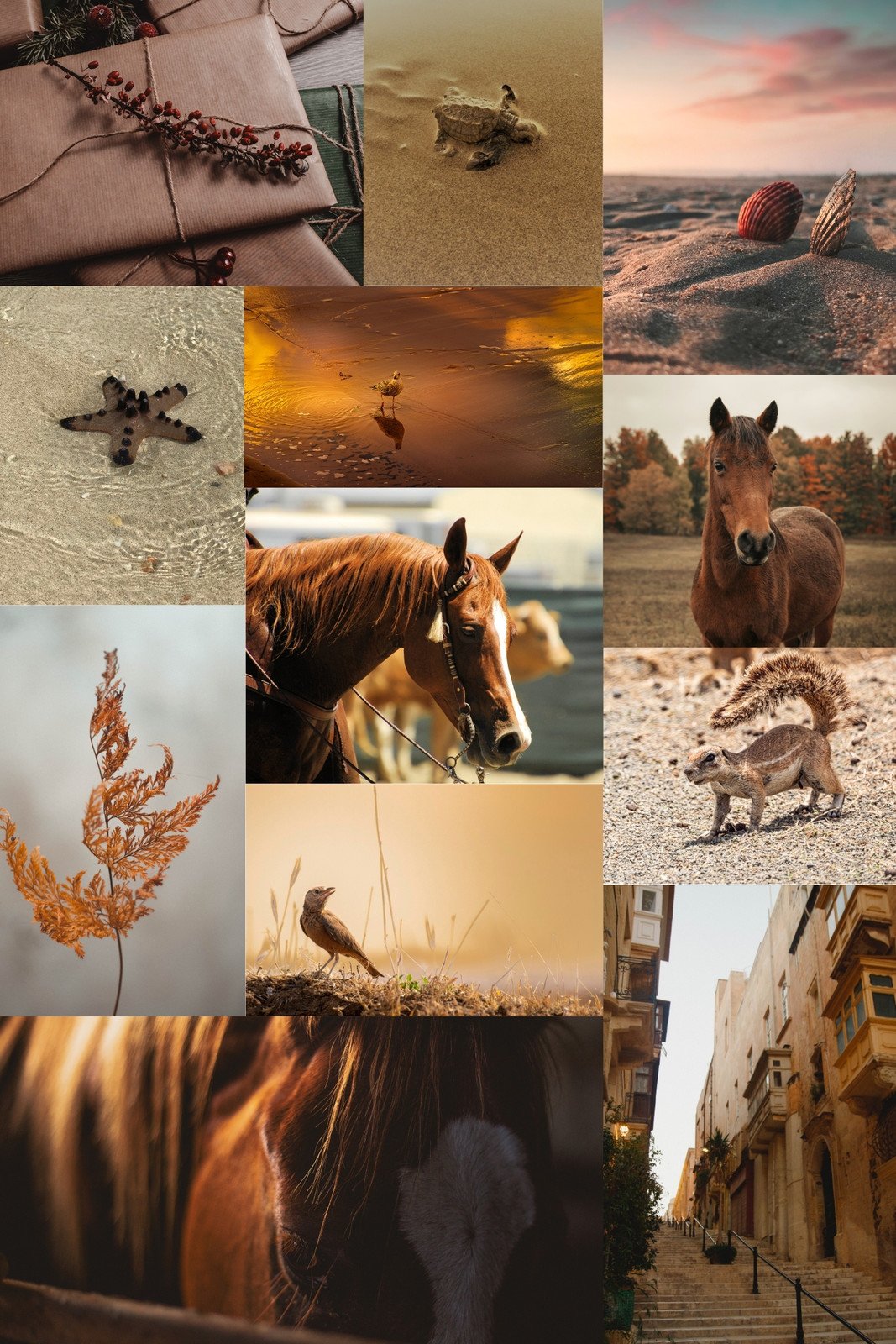 Collages de fotos bonitos y artísticos | Canvas