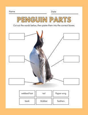Label Penguin Parts Worksheet