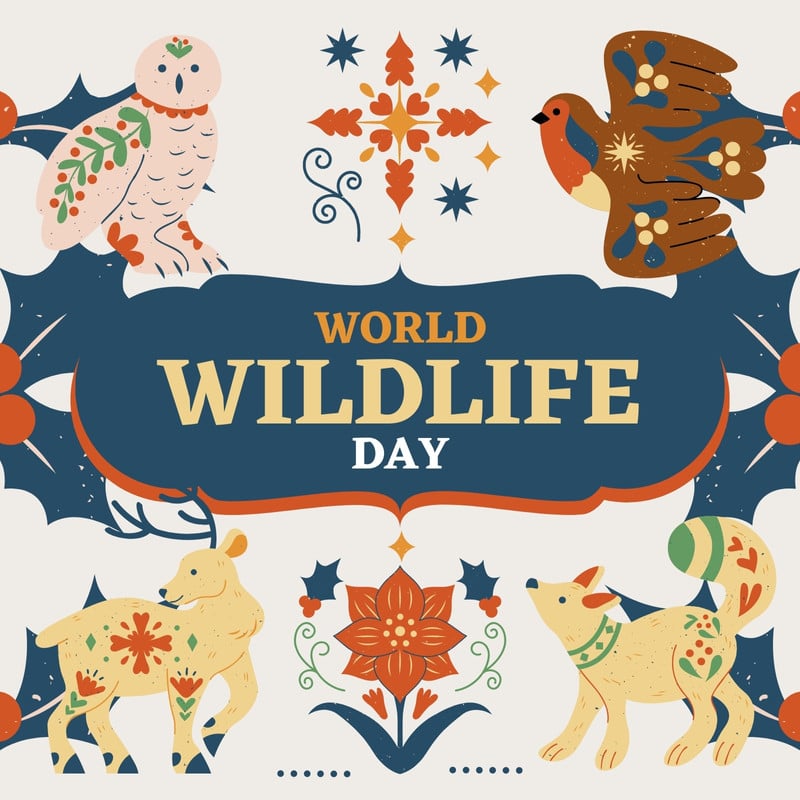 Dunya Nihad – Canva