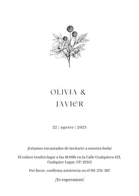 Olmo Studio – Canva