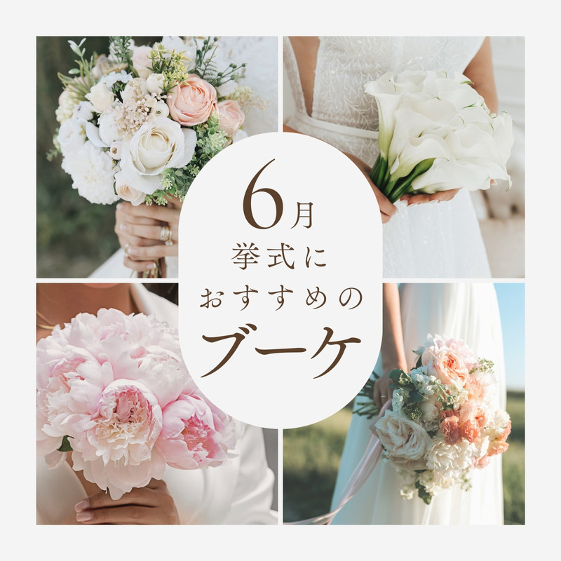 Comet Design – Canva