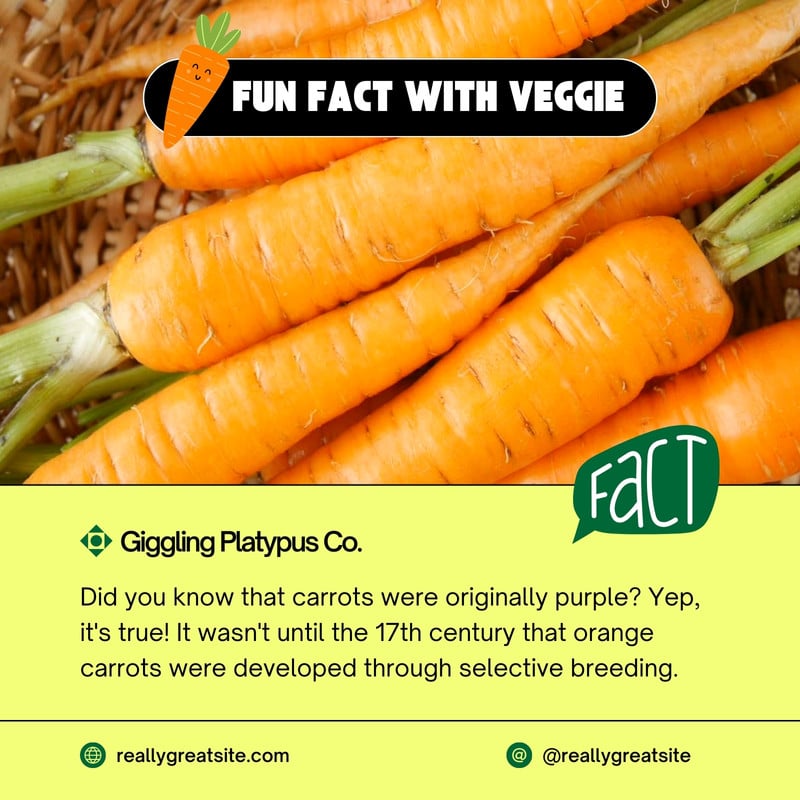 Simetro Std – Canva