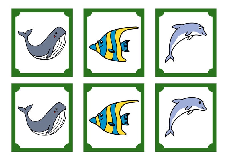 Cricel Elises – Canva