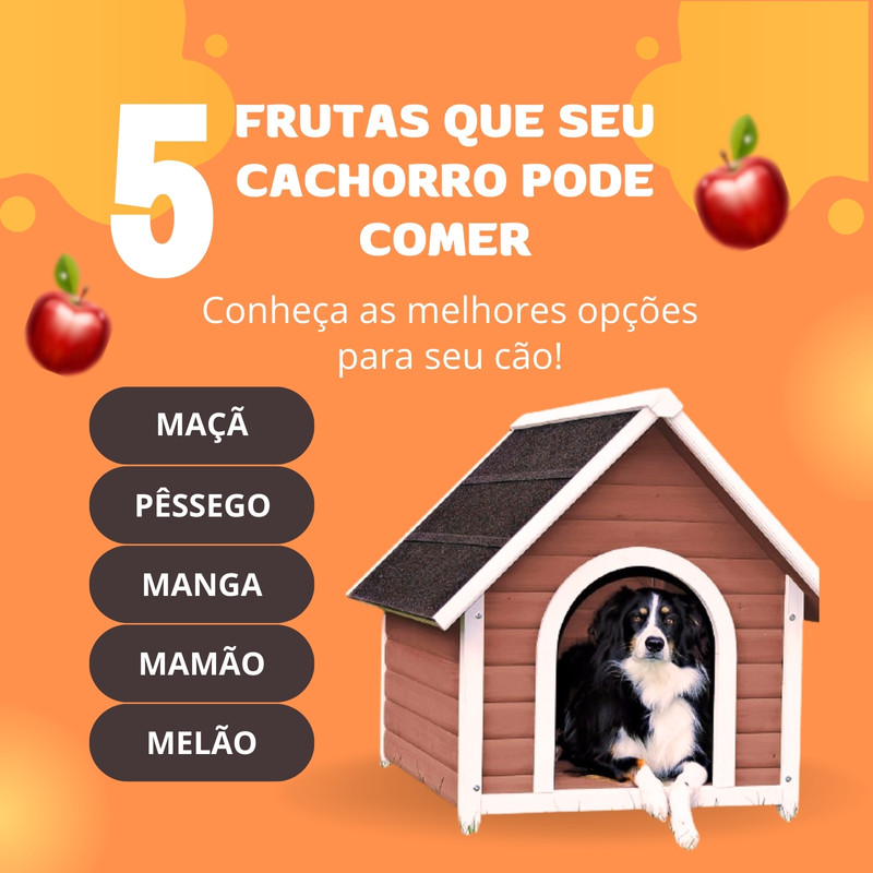 Elton Rodrigues – Canva