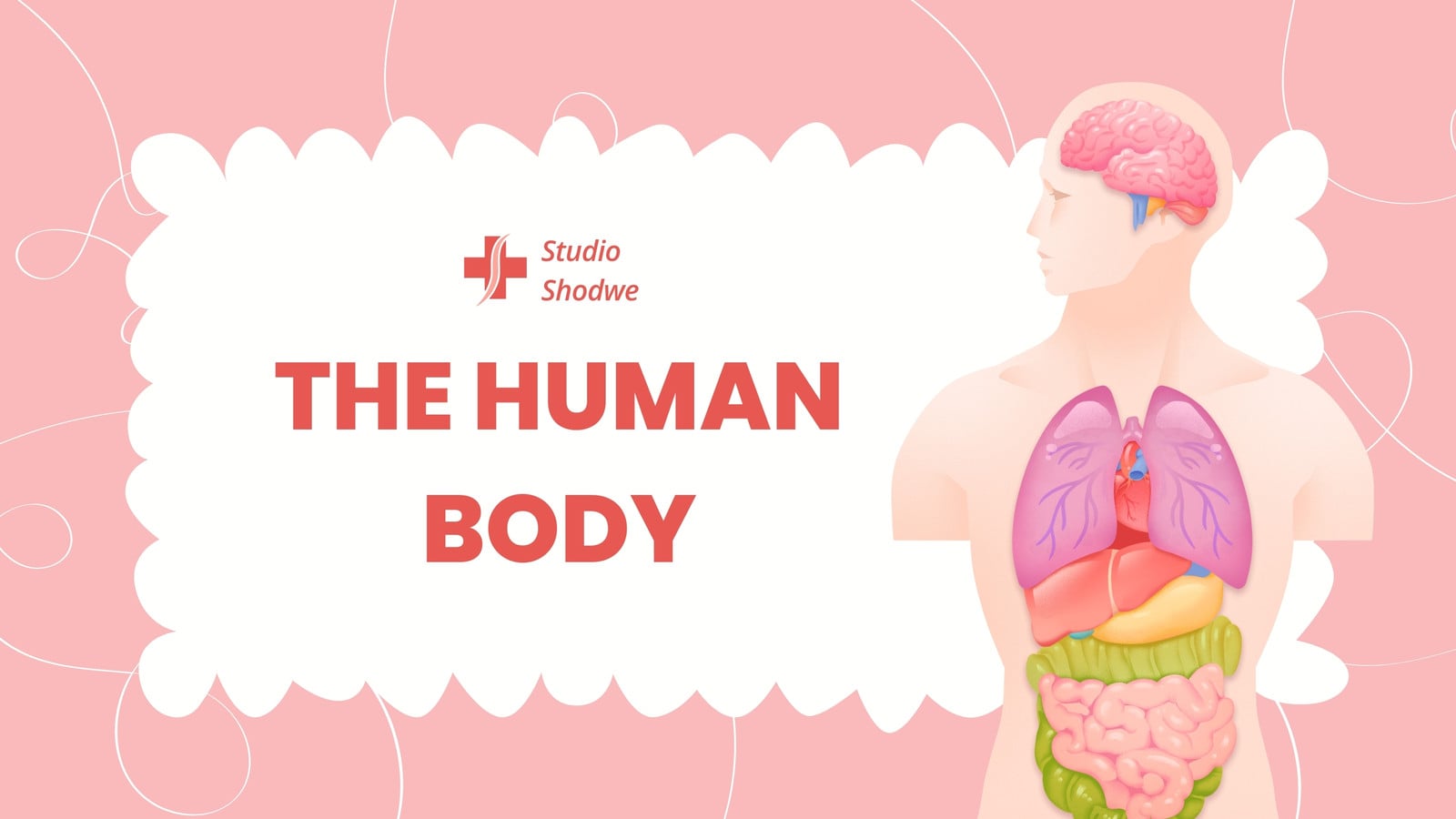 Free and customizable body templates