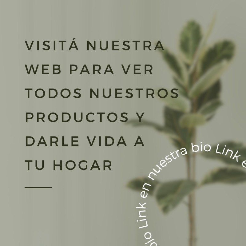 Vicky Montini – Canva