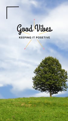 Visual Vibes – Canva