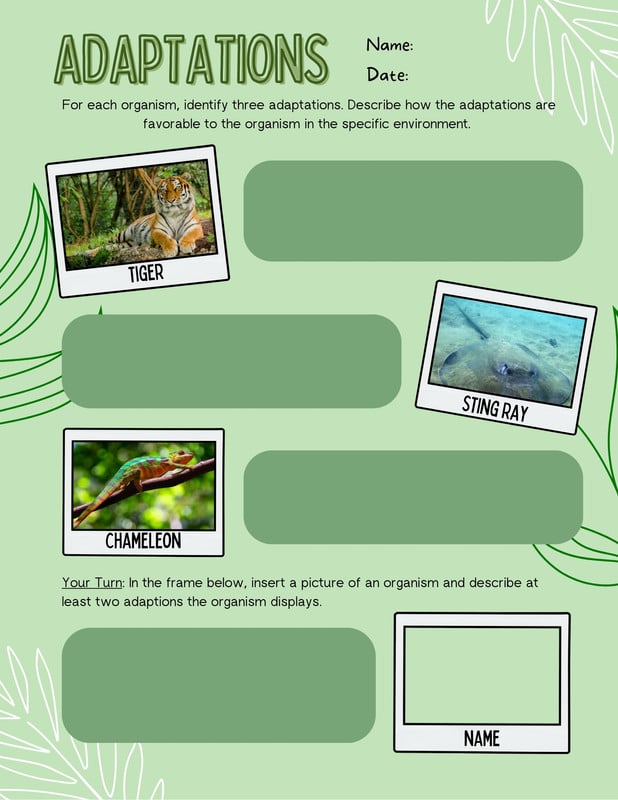Free custom printable science worksheet templates | Canva
