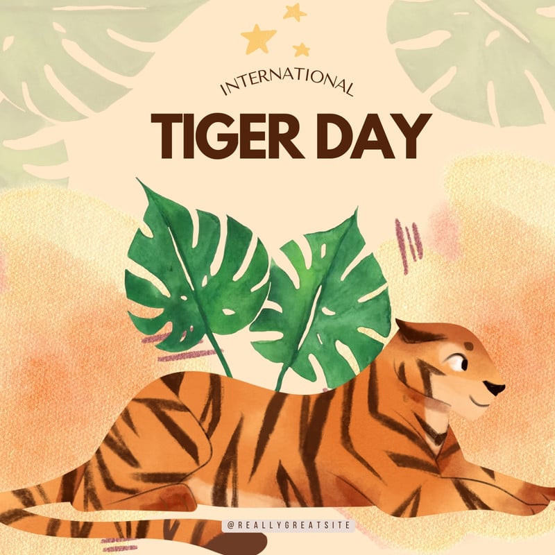 ZEO DESIGN – Canva