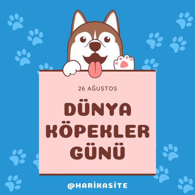 Ferhat Akbaba – Canva