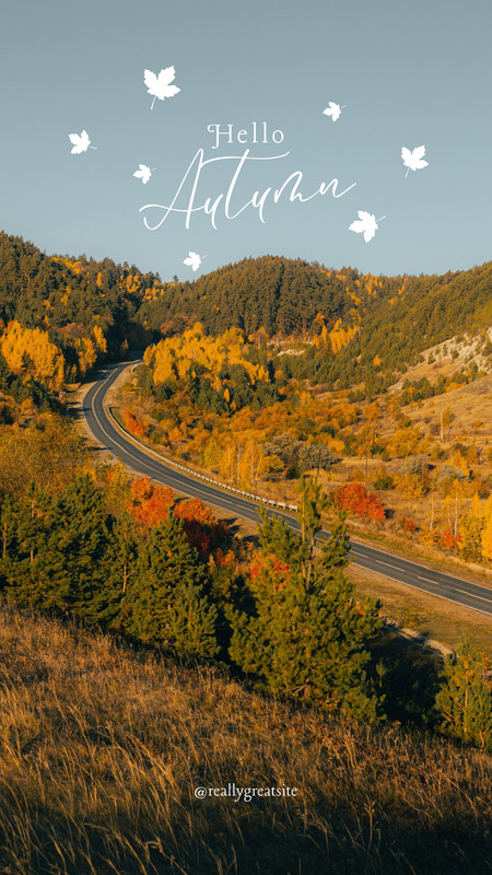 olhahladiy – Canva