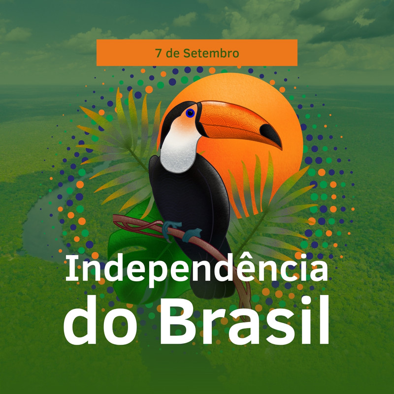 Felix Design – Canva