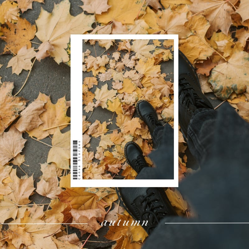 Mathilde Design – Canva