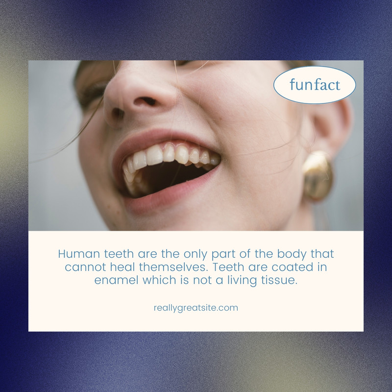 ARORA STD. – Canva