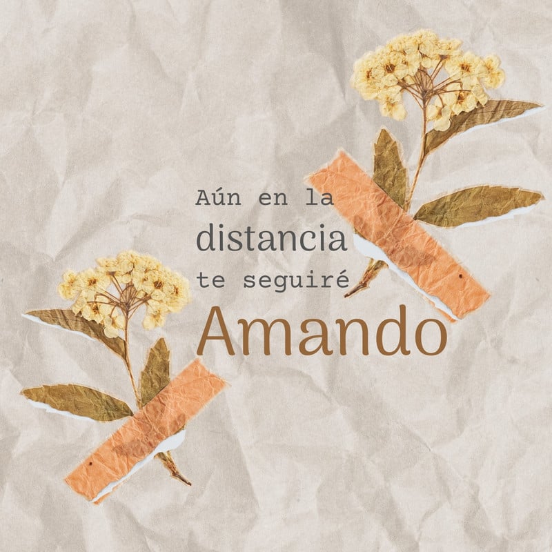 Spanish Tumblr Quotes Flowers