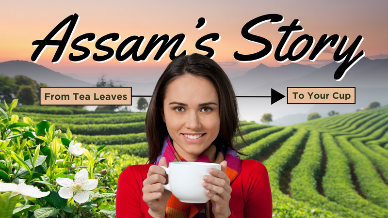 Heena Sheikh – Canva