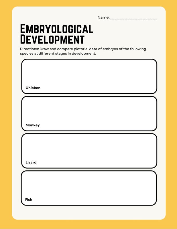 Embryological Similarities Worksheets For Kids