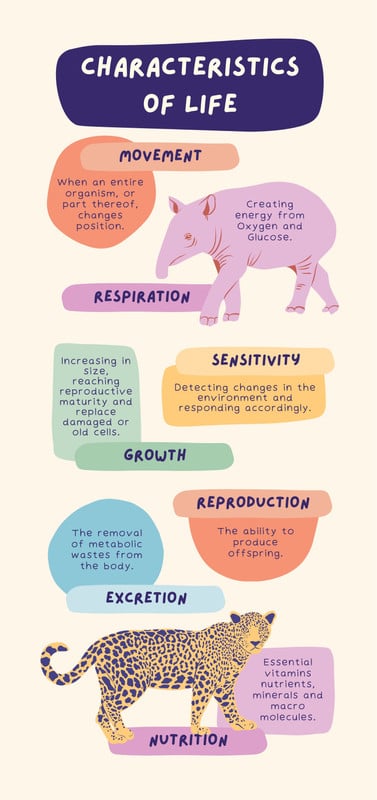 Characteristics Of Life 8 Characteristics Of Life By Ritvika Warrier