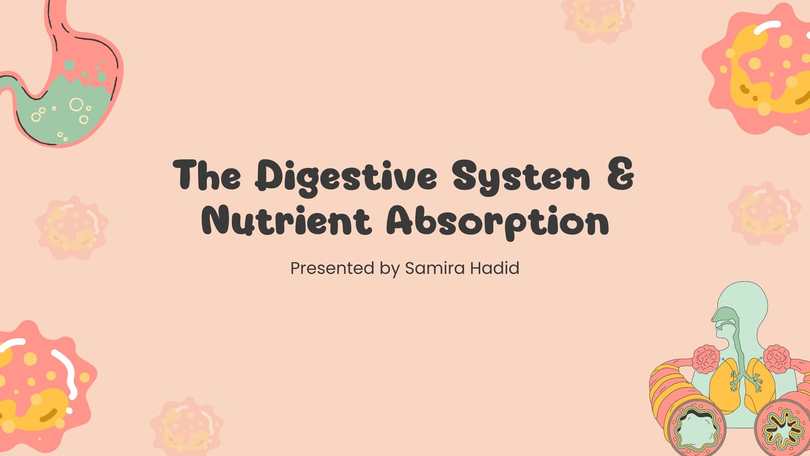 Free and customizable digestive system templates