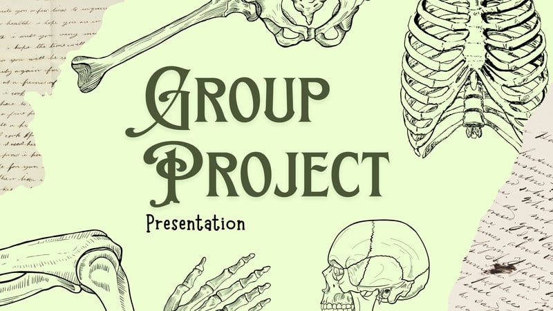 Free and customizable anatomy templates
