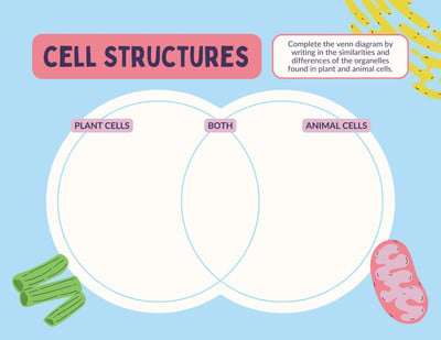 Plant Animal Cell Printable Earth Mama39s World