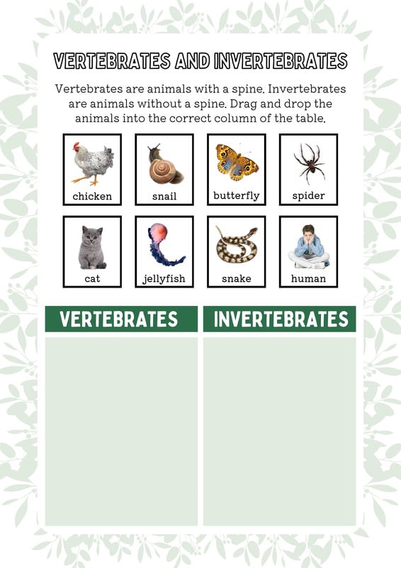 Vertebrates Vs Invertebrates Worksheet