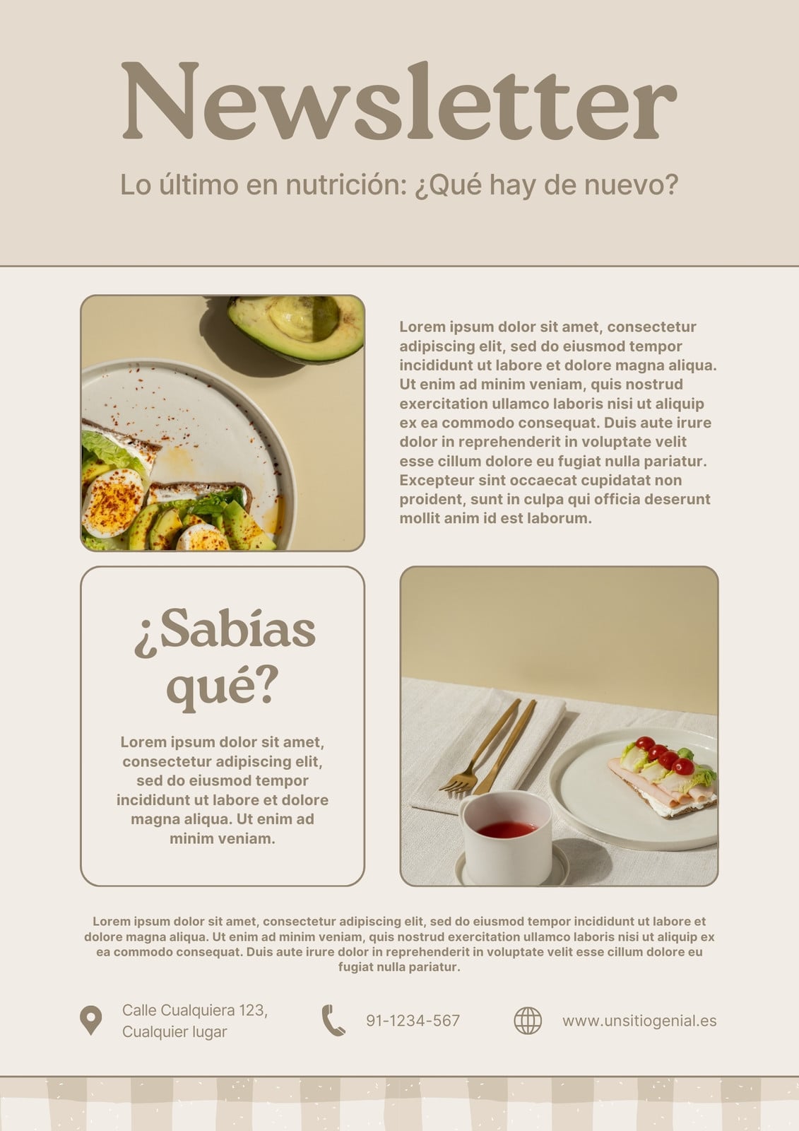 Boletines informativos y newsletters personalizables | Canva