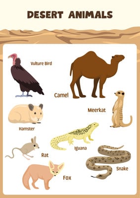 Desert Animals Flashcards Free Printable Desert Animal Pictures,