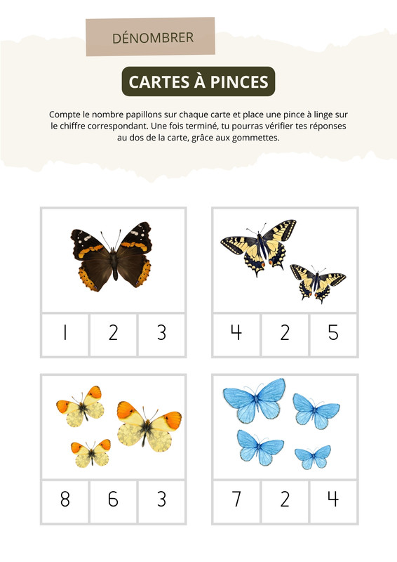 Roue Du Cycle De Vie Du Papillon Cycle De Vie Du Papillon / Place En