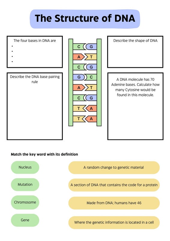 Free and customizable dna templates
