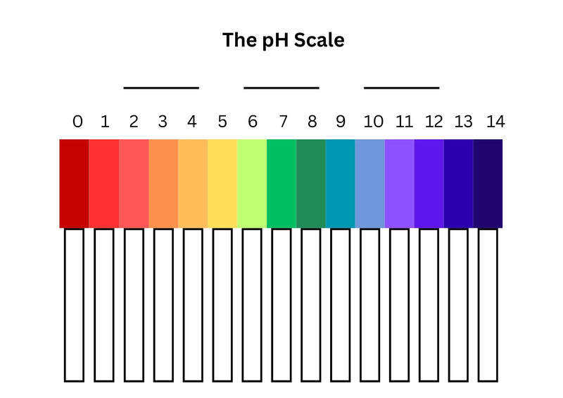 Ph Scale Worksheet Science Reading Comprehension And Worksheet: Acids,