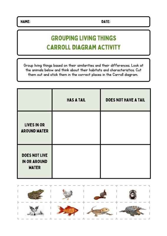 Classification Of Living Organisms Worksheet Classification