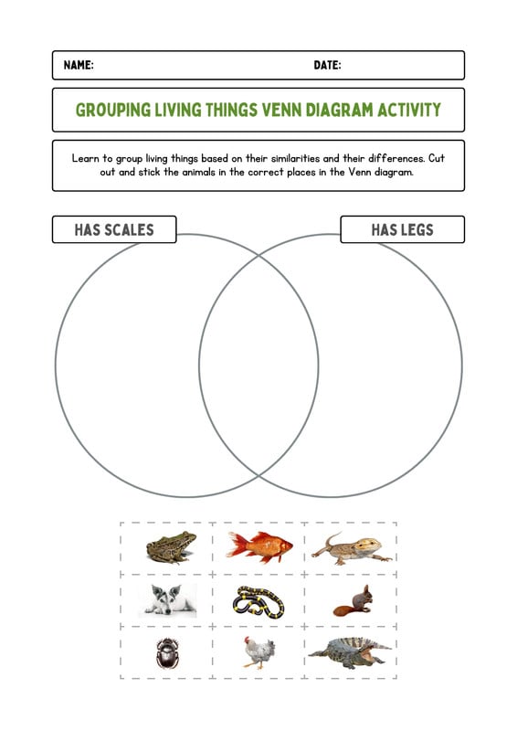 Biological Classification Worksheet Quizlet Science Posters Shop