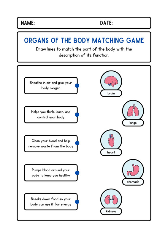 Bio 100 Week 7 Classifying Organisms Worksheet
