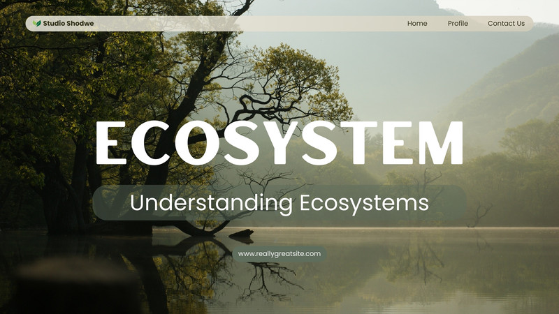Free and customizable environment templates | Canva
