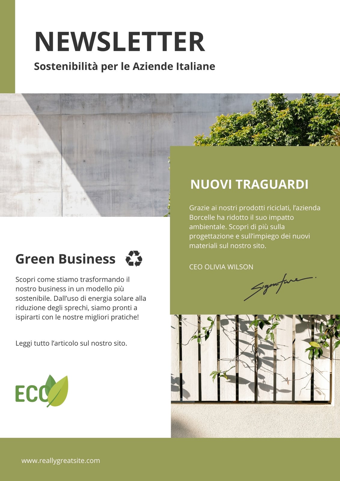 Newsletter gratis online: crea e invia e-mail professionali | Canva