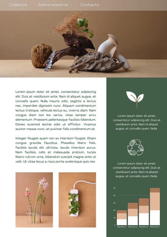 Boletines informativos y newsletters personalizables | Canva