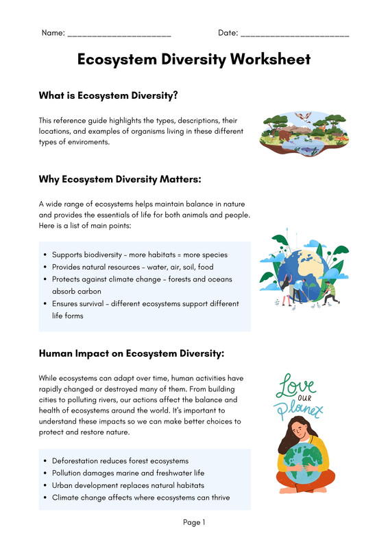 Ecosystem Worksheet Middle School