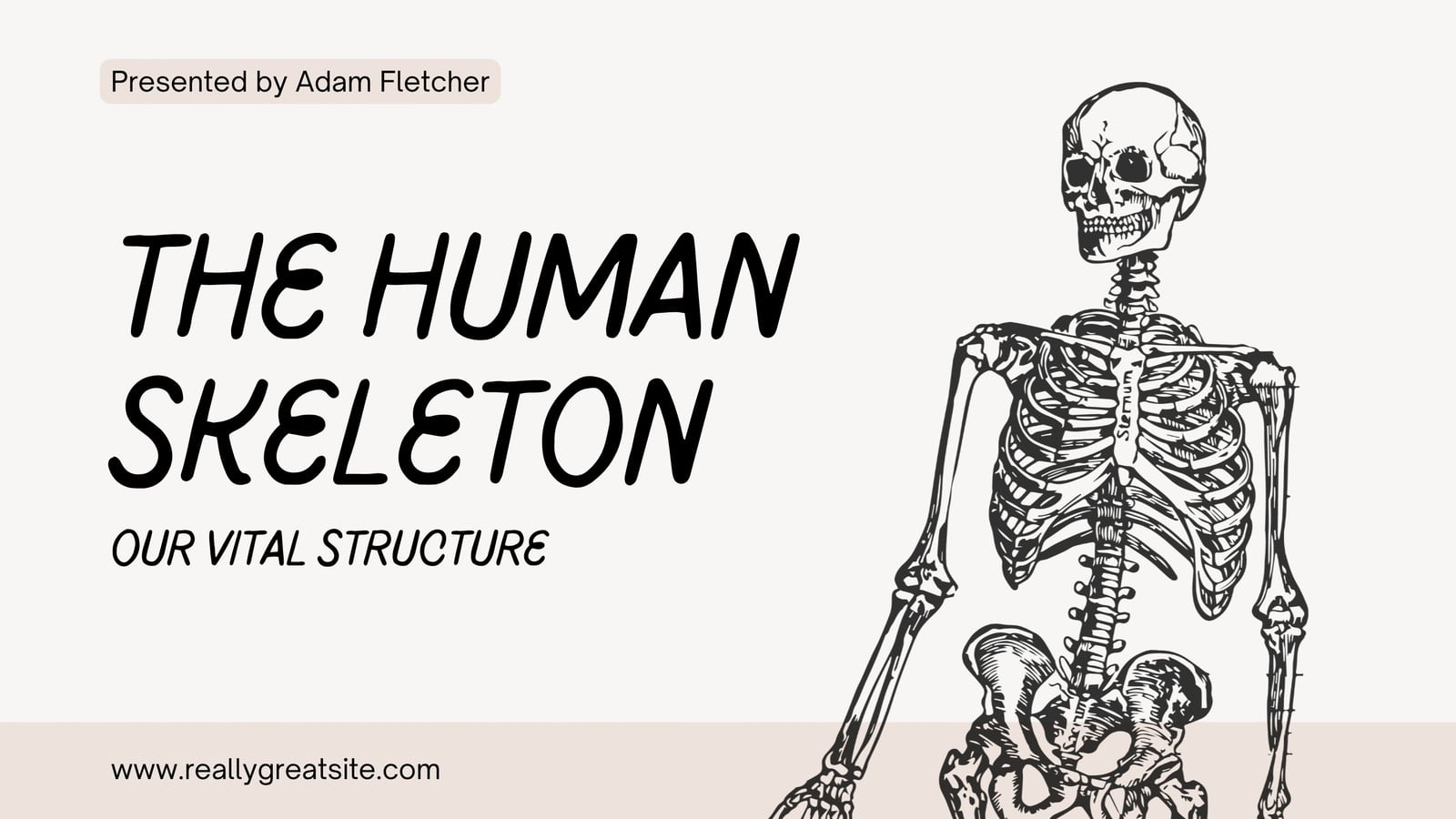Free and customizable skeleton templates